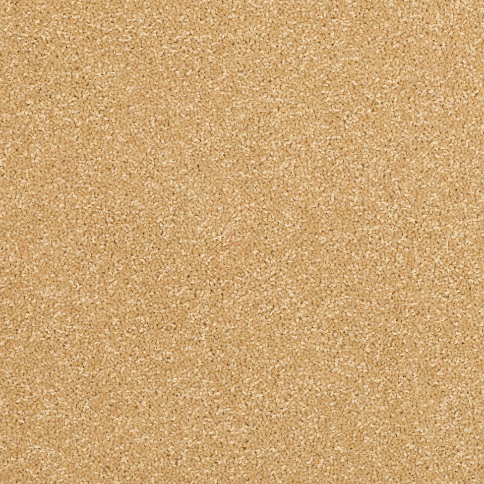 Carpets - Superior Finish Ltd.